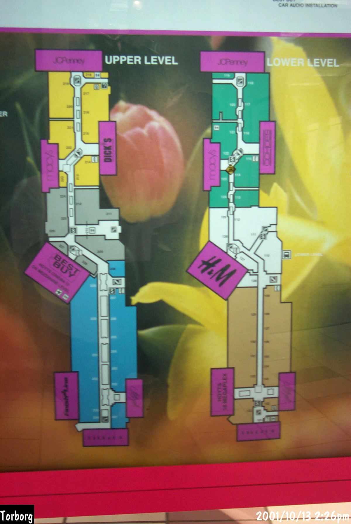 Crossgates Mall Apple Store grand-opening